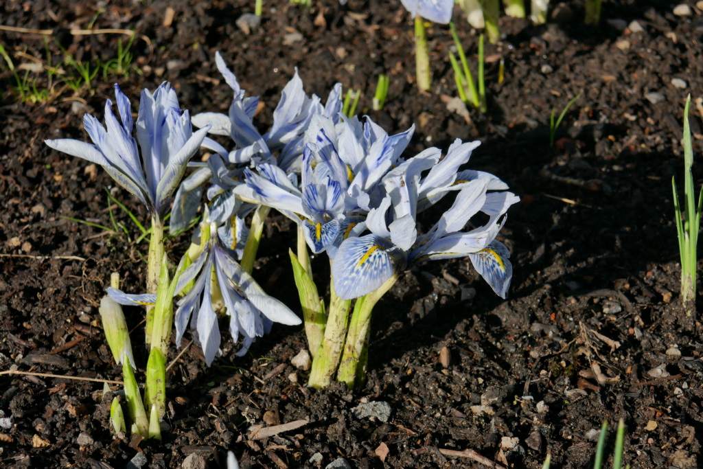 Flora 2022 – Been & Seen