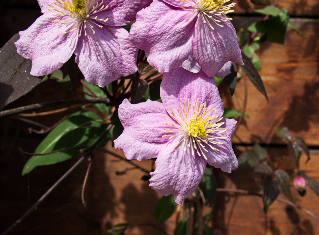 Flora 2022 – Been & Seen